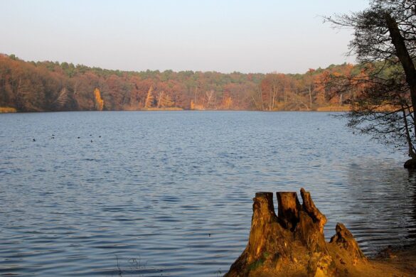 Eriesee: Der unterschätzte Große See – Natur, Highlights und wichtige ...